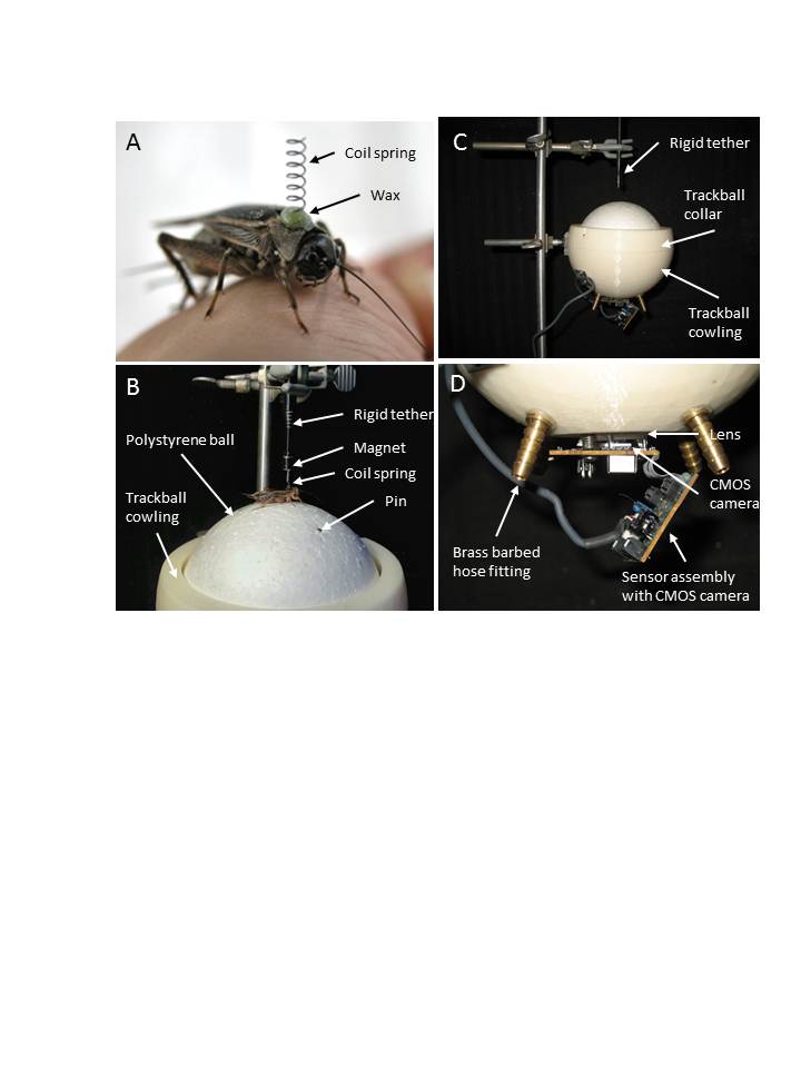 Spherical Treadmill – Insect Flight Group