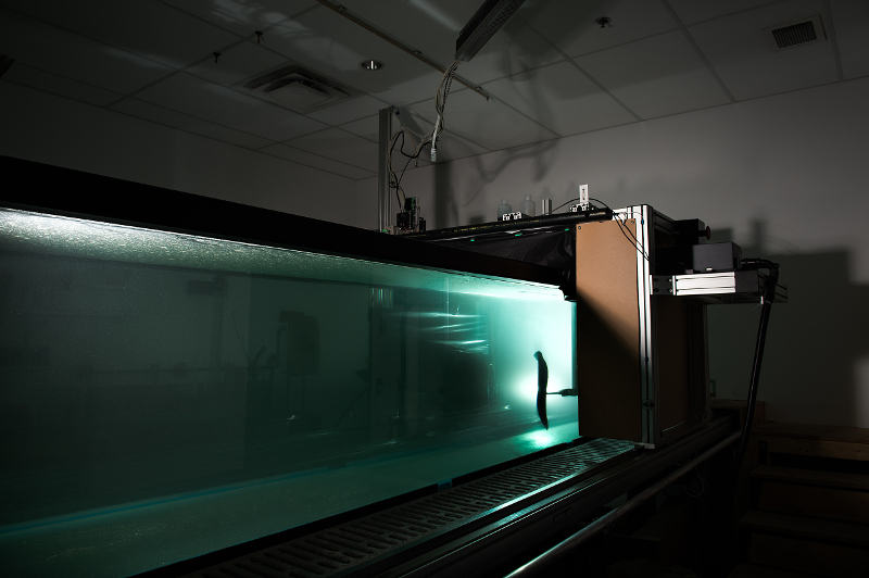 Flow Visualization Lab – Insect Flight Group